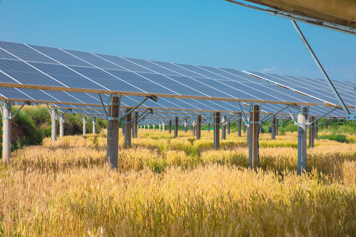 Solar farm faces higher approval hurdle as protest petition forces ...